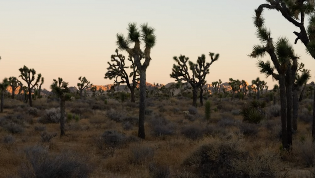La eliminación de polvo con IA acaba de llegar a Lightroom y Photoshop ...