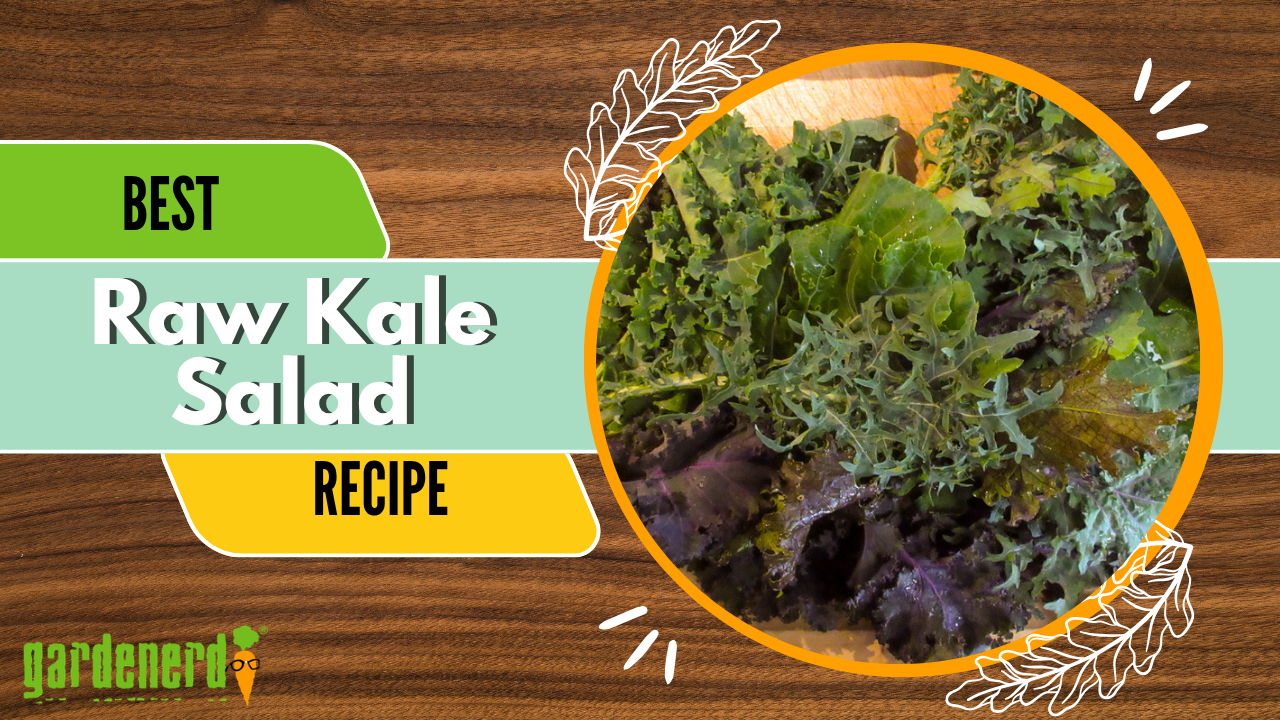 YouTube: Receta de ensalada de col rizada cruda de Isabella: paso a ...